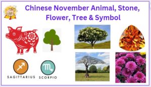 Chinese November Animal, Stone, Flower, Symbol & Tree