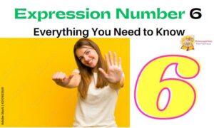 Expression Number 6 - Everything You Need to Know