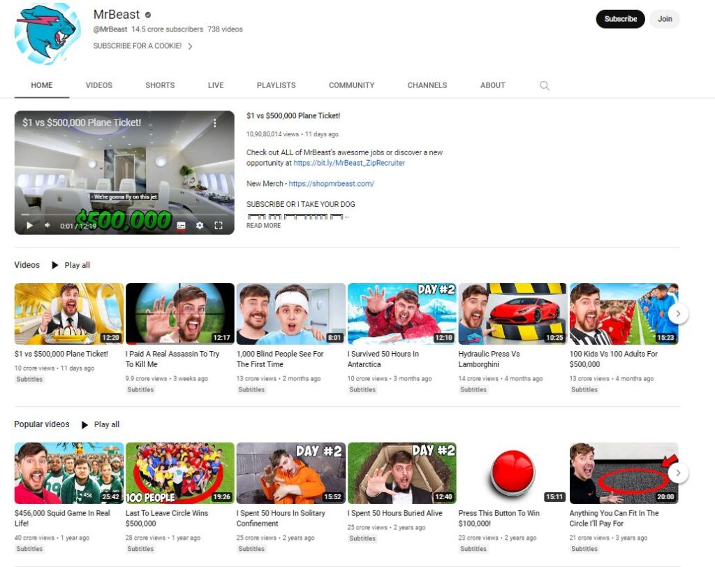 MrBeast Net Worth 2024 - Age, GirlFriend, Zodiac Sign