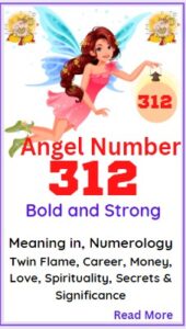 312 Angel Number Twin Flame, Love, Meaning, Career & Money