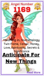 1169 Angel Number Meaning Twin Flame, Love & Career