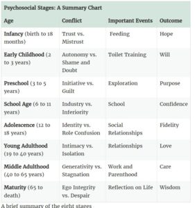 Erikson's Stages of Development: Everything You Must Know