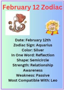 February 12 Zodiac Aquarius Horoscope: Your 2025 Guide